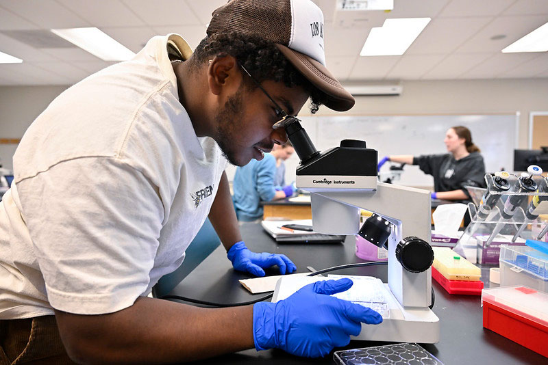 Biology Secondary Education | Elizabethtown College